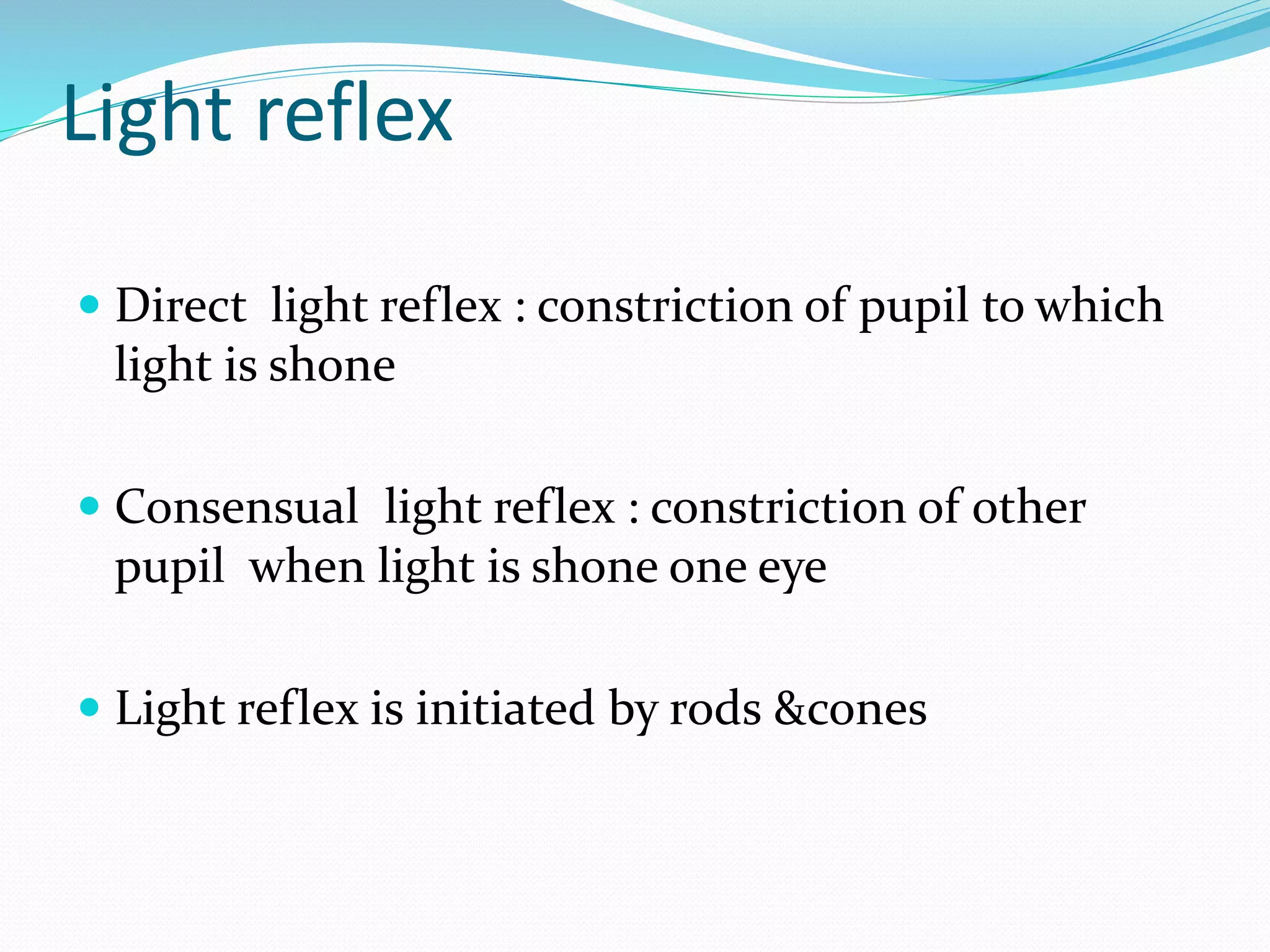 Pupil anatomy and physiology | PPTX