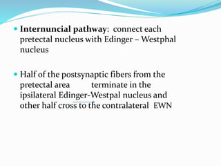 Pupil anatomy and physiology | PPTX