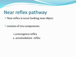 Pupil anatomy and physiology | PPTX