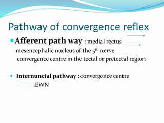 Pupil anatomy and physiology | PPTX