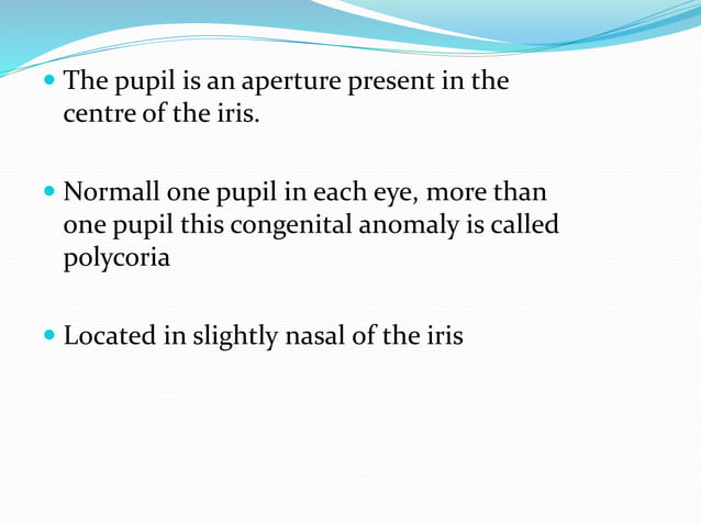 Pupil anatomy and physiology | PPTX | Eye and Vision Conditions ...