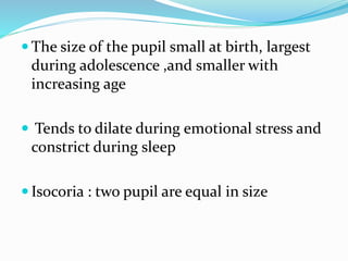 Pupil anatomy and physiology | PPTX