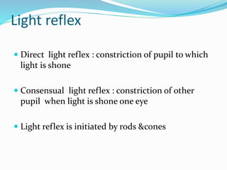 Pupil anatomy and physiology | PPTX