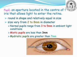 Pupil anomalies and disorders shiva ppt | PPT
