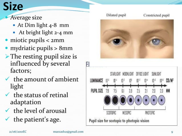 PUPILARY ABNORMALITY AND PHARMACOLOGIC TESTS.pptx