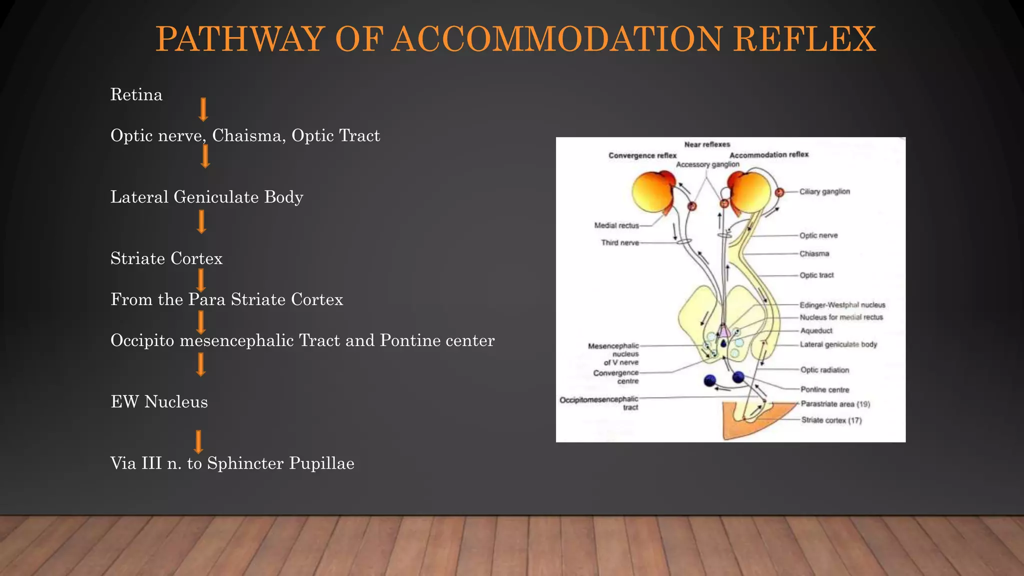 PUPILARY REFLEX PATHWAYS.pptx