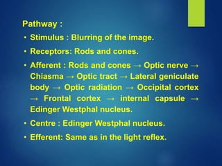 pupil examination step by step for ophthalmic exam.pptx