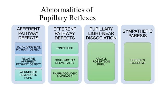 PUPILLARY ABNORMALITIES and pupillary reflexes | PPTX