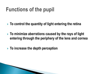 Pupillary abnormalities | PPTX