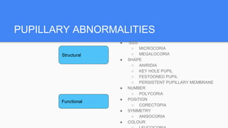 Pupillary abnormalities new 1 | PPTX