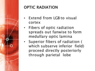 Pupillary and visual pathway | PPTX