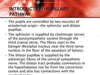 Pupillary and visual pathway | PPTX