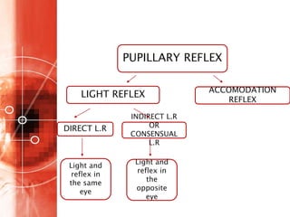 Pupillary and visual pathway | PPTX
