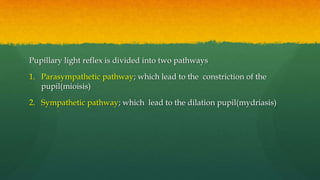 Pupillary light reflex | PPTX