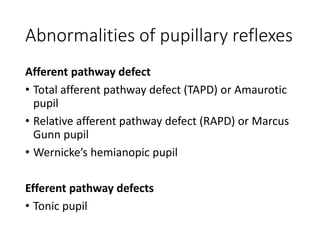 Pupillary pathway | PPTX