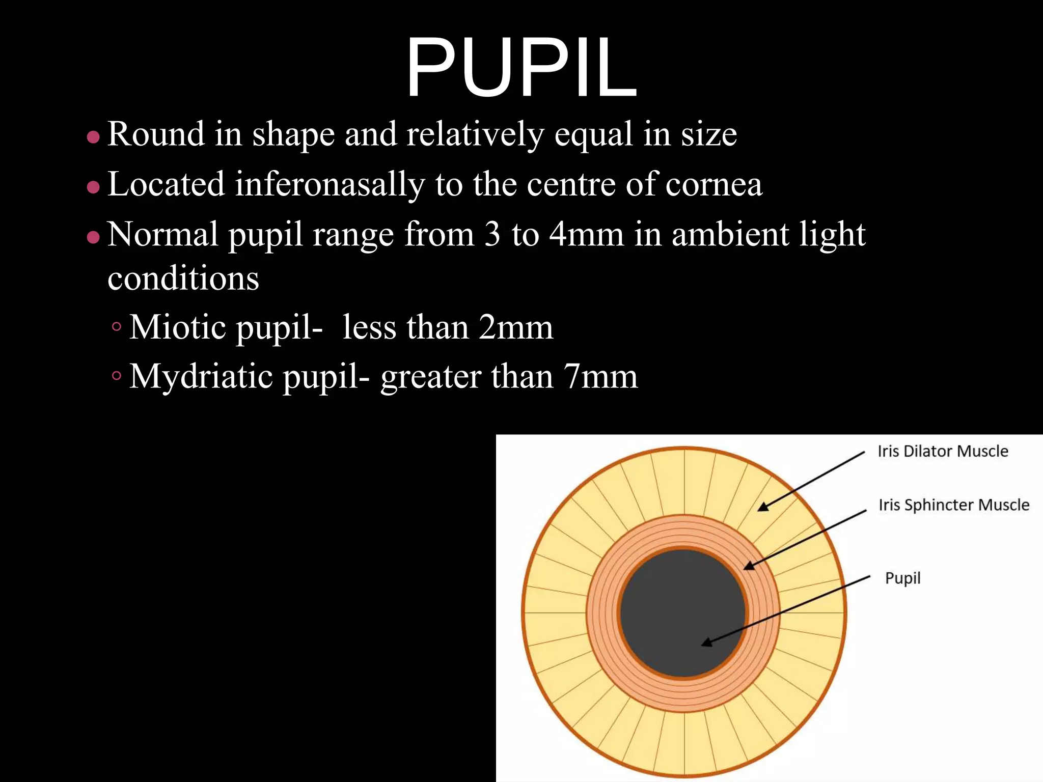 Pupillary pathway and its abnormality. | PPTX