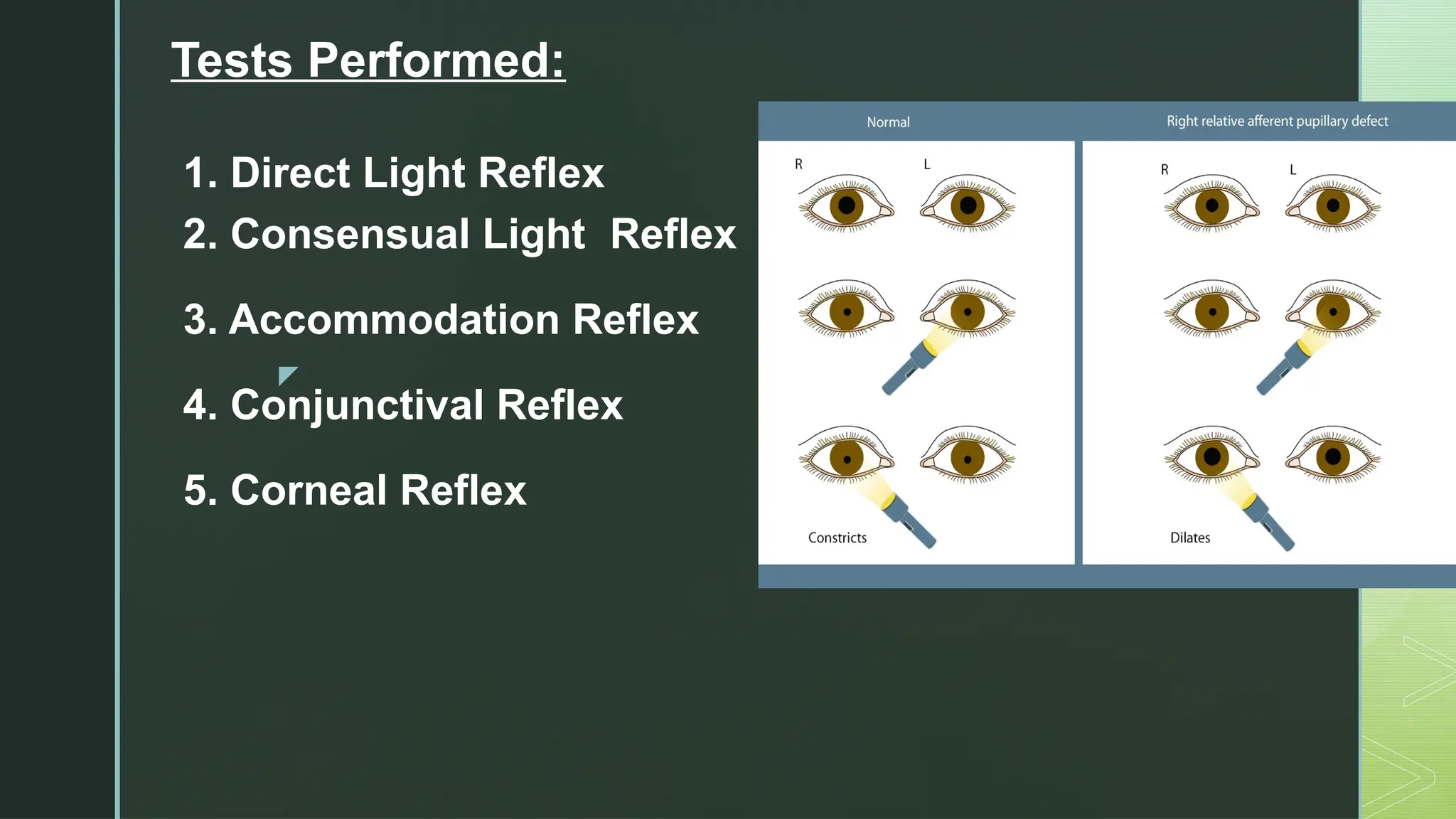 intoductionofPupillaryreflexneuroanatomy.pptx