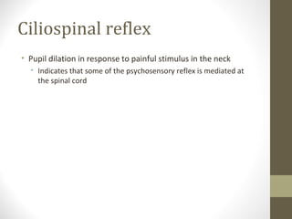 Pupillary reflexes | PPT