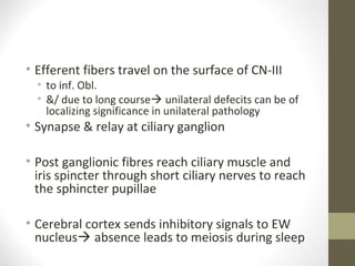 Pupillary reflexes | PPT