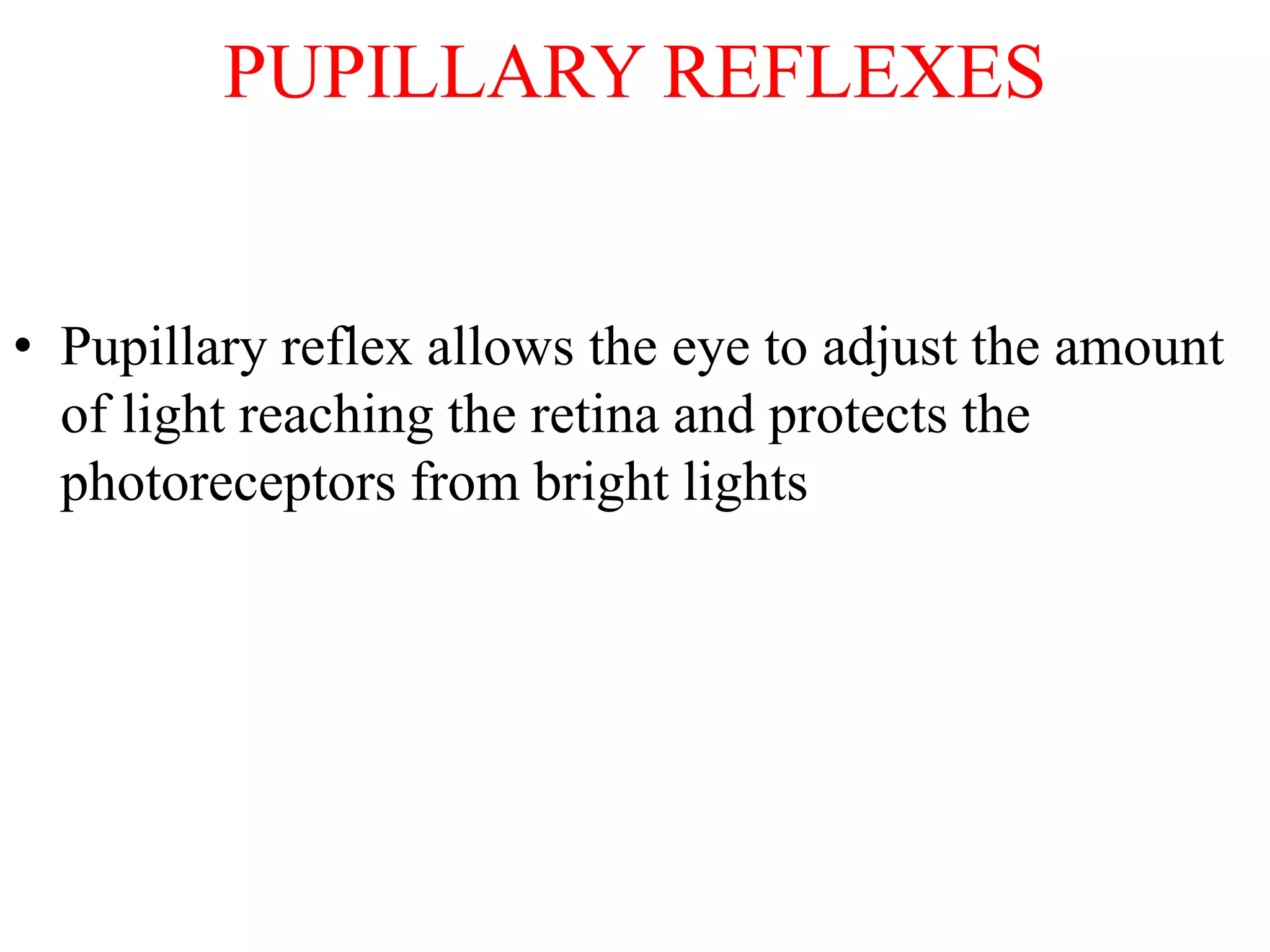 PUPILLARY REFLEXES.pptx