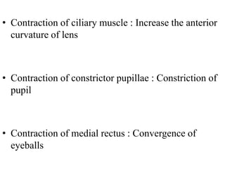 PUPILLARY REFLEXES.pptx