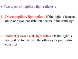 PUPILLARY REFLEXES.pptx