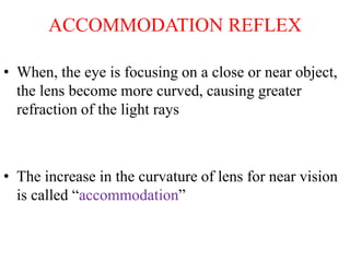 PUPILLARY REFLEXES.pptx