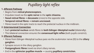 PUPILLARY REFLEXES AND THEIR ABNORMALITIES (1).pptx