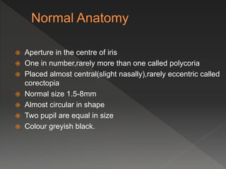 Pupil dr ferdous | PPT