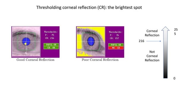 Pupillometry tutorial: from A to Z | PPTX