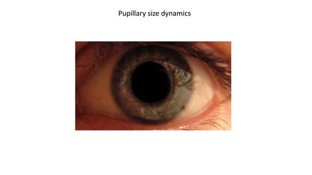 Pupillometry tutorial: from A to Z | PPTX