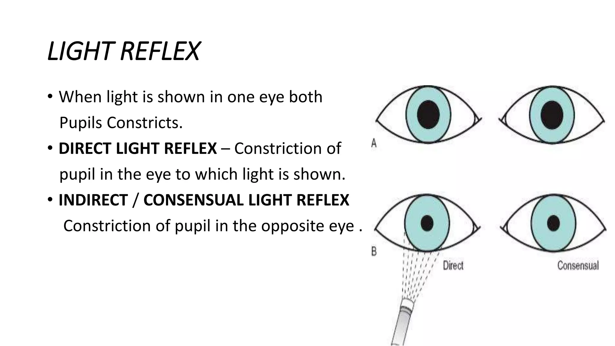 pupil ppt dr kavitha.pptx