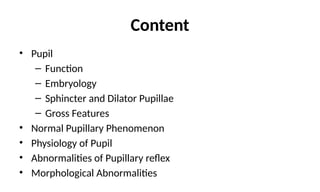 Pupil, Pupillary Reaction And it’s Abnormalities, | PPTX
