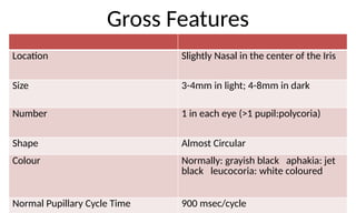 Pupil, Pupillary Reaction And it’s Abnormalities, | PPTX