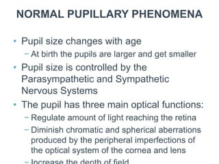 Pupils (1).pptx