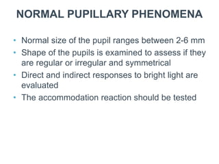Pupils (1).pptx
