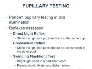 Pupils (1).pptx