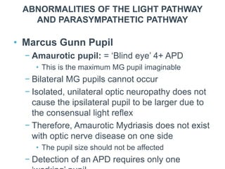 Pupils (1).pptx