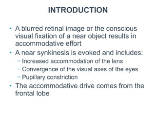 Pupils (1).pptx