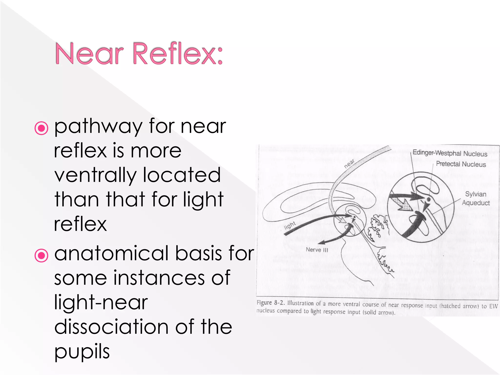 importance Of Pupil Examination | PDF
