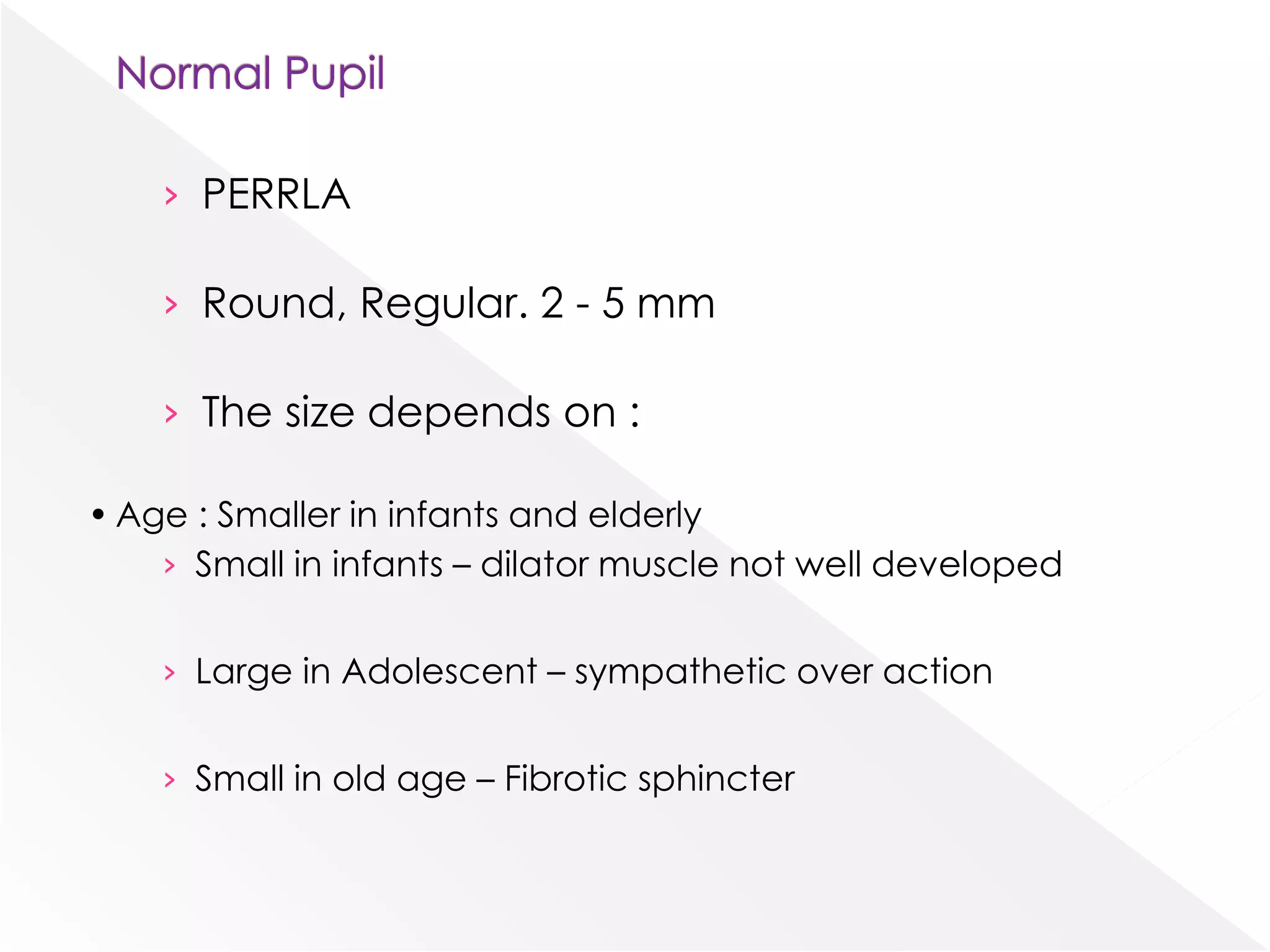 importance Of Pupil Examination | PDF