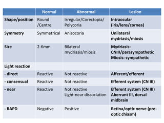Pupil: Notes | PPTX