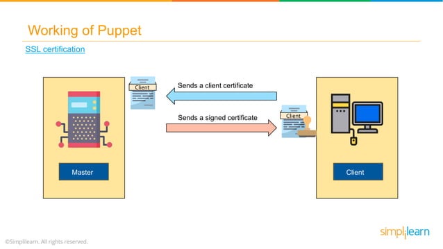 Puppet Tutorial | Puppet Tutorial For Beginners | Puppet Configuration ...