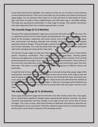 Puppy Development Stages A Comprehensive Guide to Your Puppys Growth ...