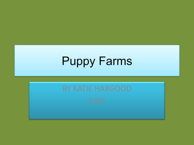 Puppy farms | PPT