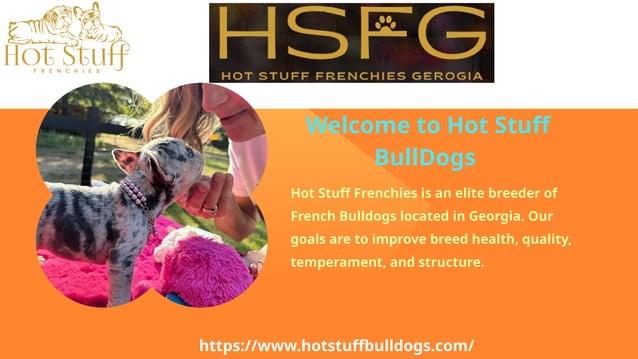 Puppy Safe Devices for Happy & Healthy Pups | Hot Stuff Bulldogs | PPT