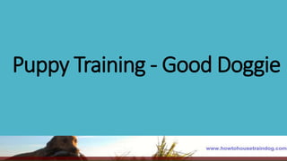 Puppy training - good doggie | PPT