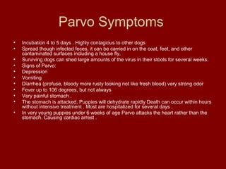 Puppy viruses | PPT