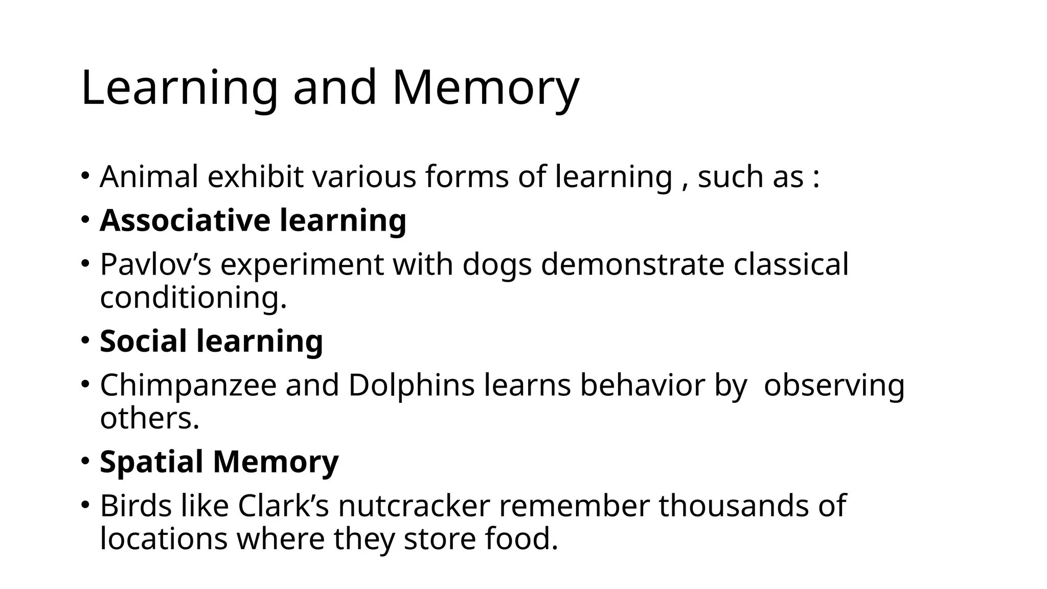 Cognition in animal behavior presentation.pptx