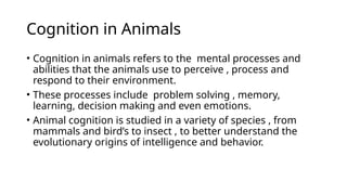 Cognition in animal behavior presentation.pptx